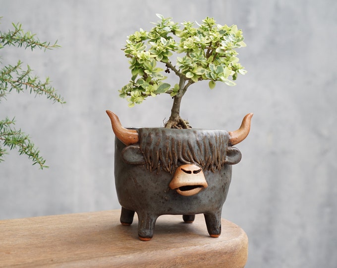 Highland Cow Plant Pot ,cow Pottery Handmade ,black Cow - Etsy