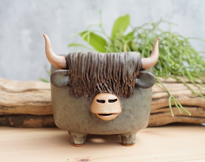 Highland Cow Plant Pot ,cow Pottery Handmade ,black Cow - Etsy