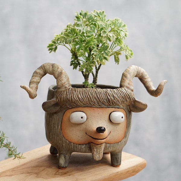 Handmade Ceramic Planter - Etsy