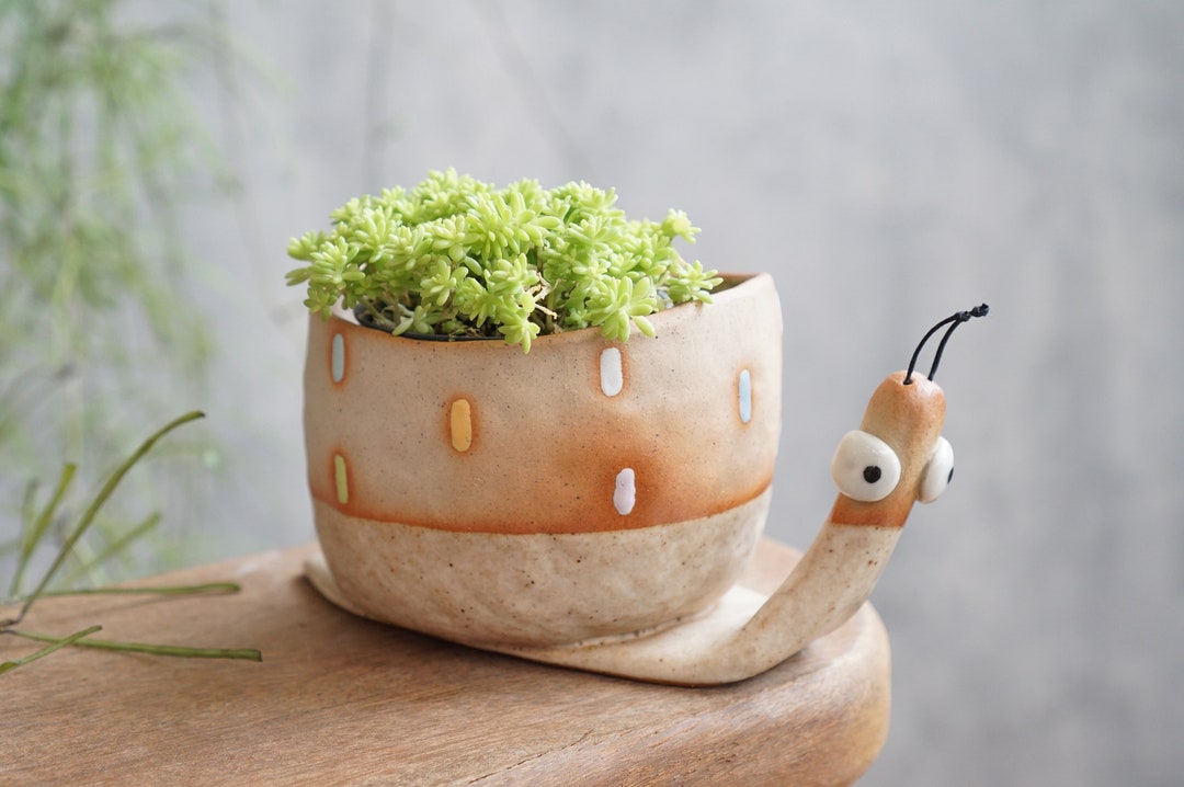 Snail Pot , Snail Plant Pot , Handmade Ceramics , Pottery - Etsy