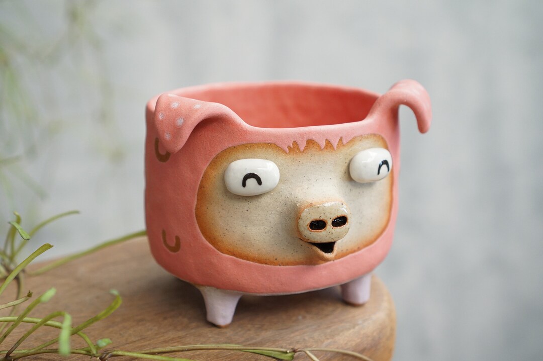 Ceramic Pig Planter, Pig Planter,pig Pink Cactus Planter, Pig Pot ...