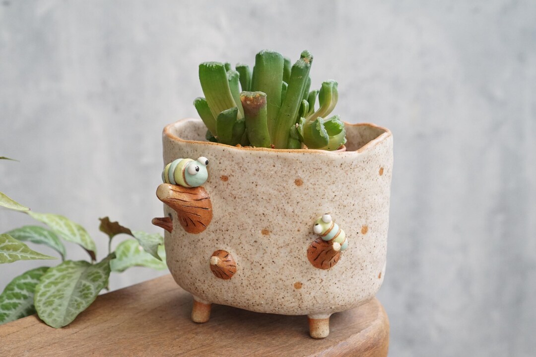 Caterpillar Ceramic Plant Pot , Cactus ,caterpillar Planter, Handmade ...