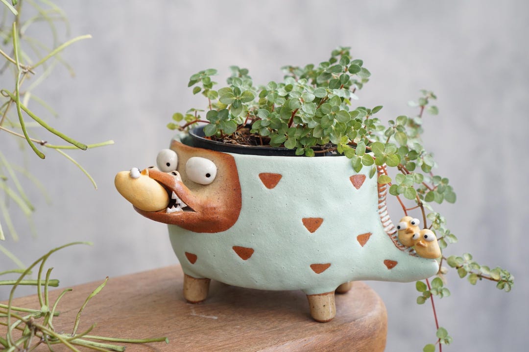 Crocodile Plant Pot ,two Tone,cactus,ceramics,pottery,handmade ...