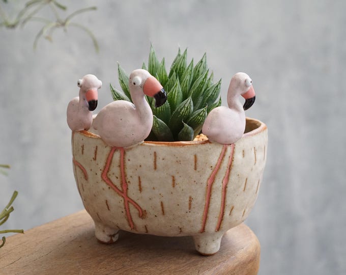 Flamingo Ceramic Plant Pot , Cactus , Flamingo Planter, Succulent Pots ...