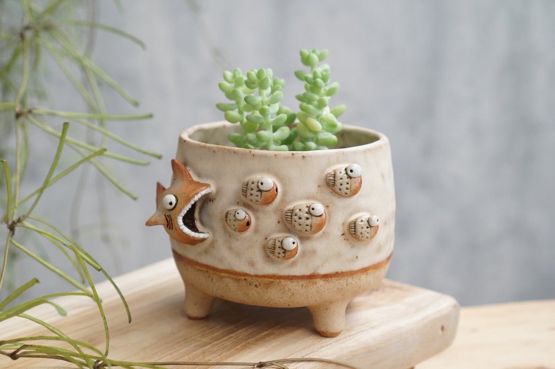 Fish Plant Pot , Shark Planter, Handmade Ceramic. Cactus ,succulent ...