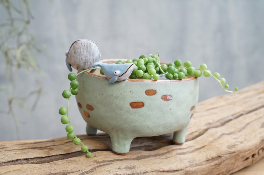 Whale Pot , Whale Plant Pot , Handmade Ceramics , Pottery - Etsy