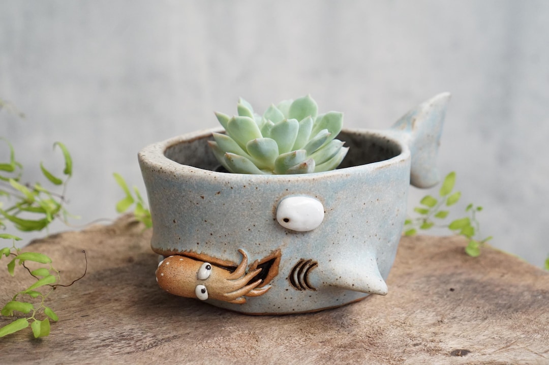 Shark Pot , Shark Plant Pot , Handmade Ceramics , Pottery - Etsy