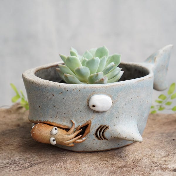 Coconutstudiopottery - Etsy
