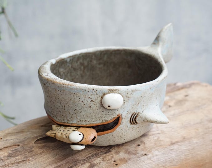 Shark Pot , Shark Plant Pot , Handmade Ceramics , Pottery - Etsy