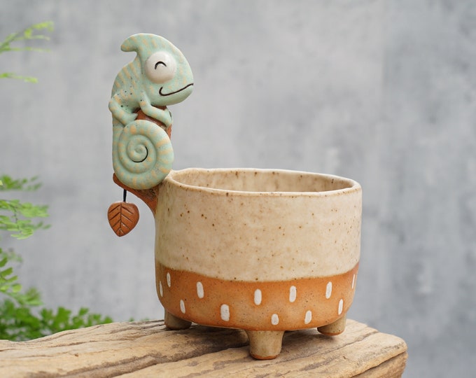 Branch With Chameleon Plant Pot for Cactus , Handmade Ceramic , Pottery ...