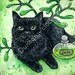 Fatal Fungi Feline: Deadly Parasol Watercolour Wicca Magic Black Cat ...