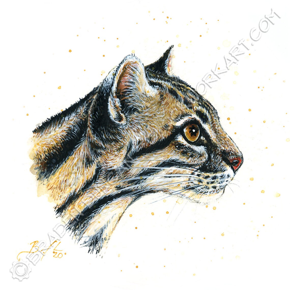 Ocelot Art for Charity Watercolour Wildcat Print - Etsy
