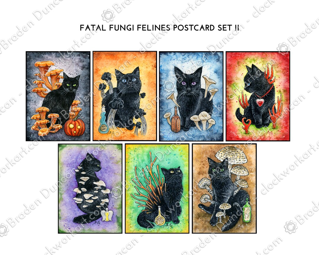 Fatal Fungi Felines Postcards Set II Mushroom Nature Black Cat Cards - Etsy