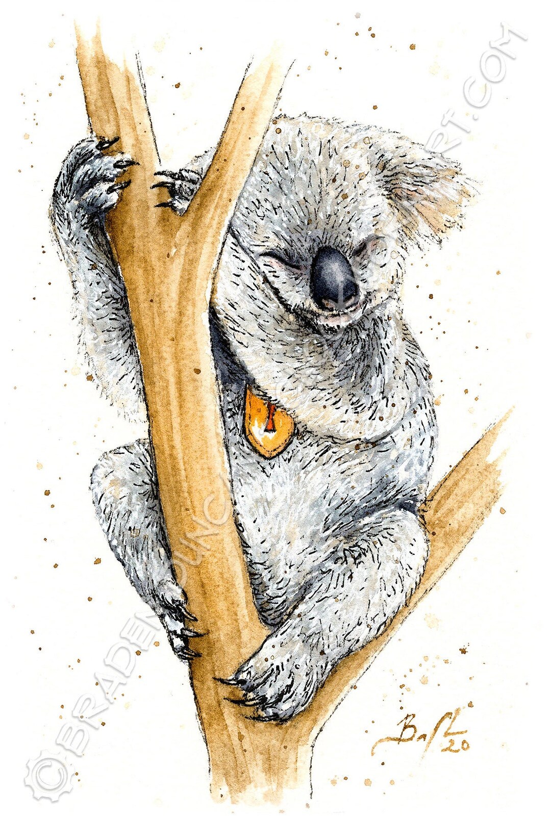 Clockwork Koala XIII Art for Australia Watercolour Print - Etsy