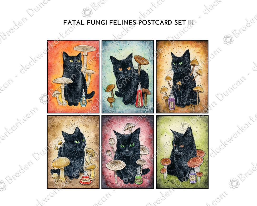 Fatal Fungi Felines Postcards Set III Mushroom Nature Black Cat Cards ...
