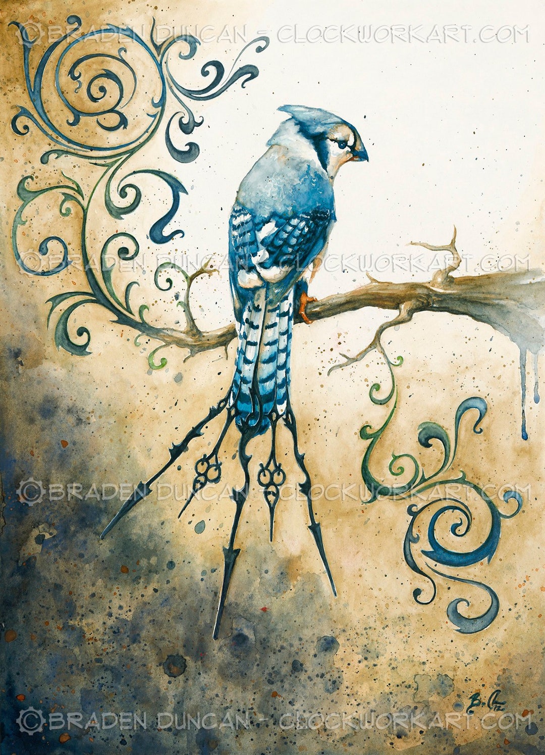 Something Borrowed Something Blue: Fine Art Bluejay Print - Etsy