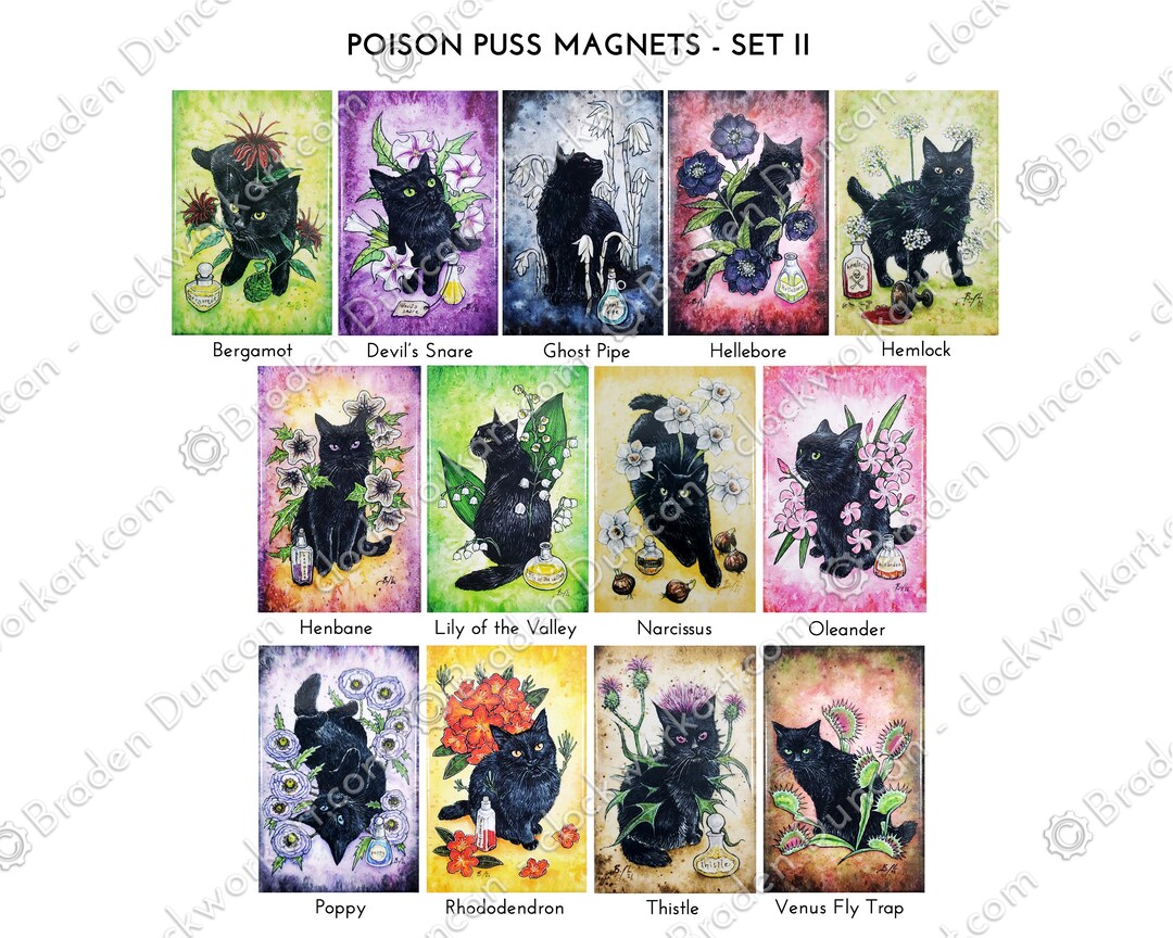 Poison Puss Set II - Kitten Nature Magnets: Watercolour Black Cat - Etsy