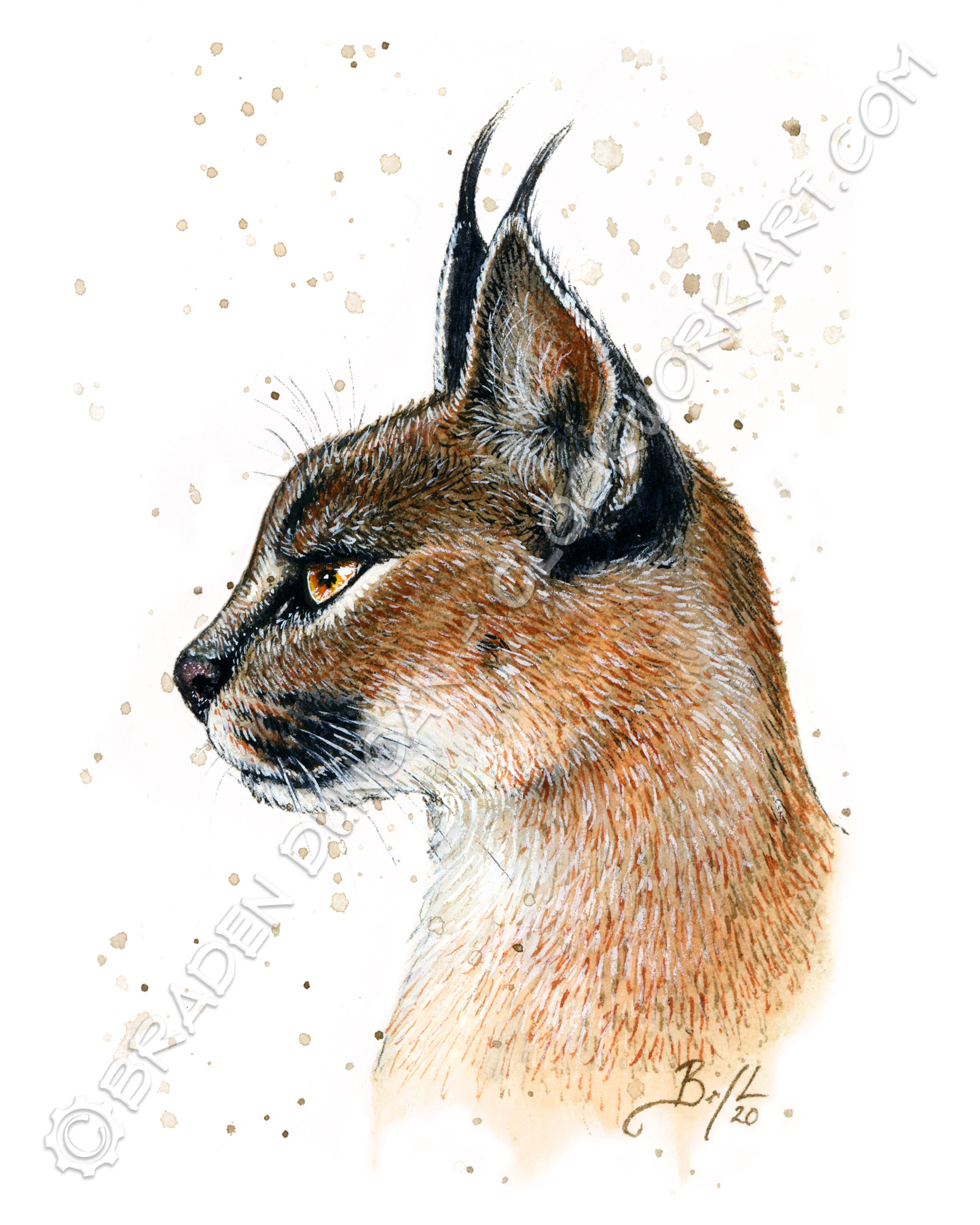 Realistic Wild Cat Artwork ORIGINAL Watercolor Lynx Painting ...