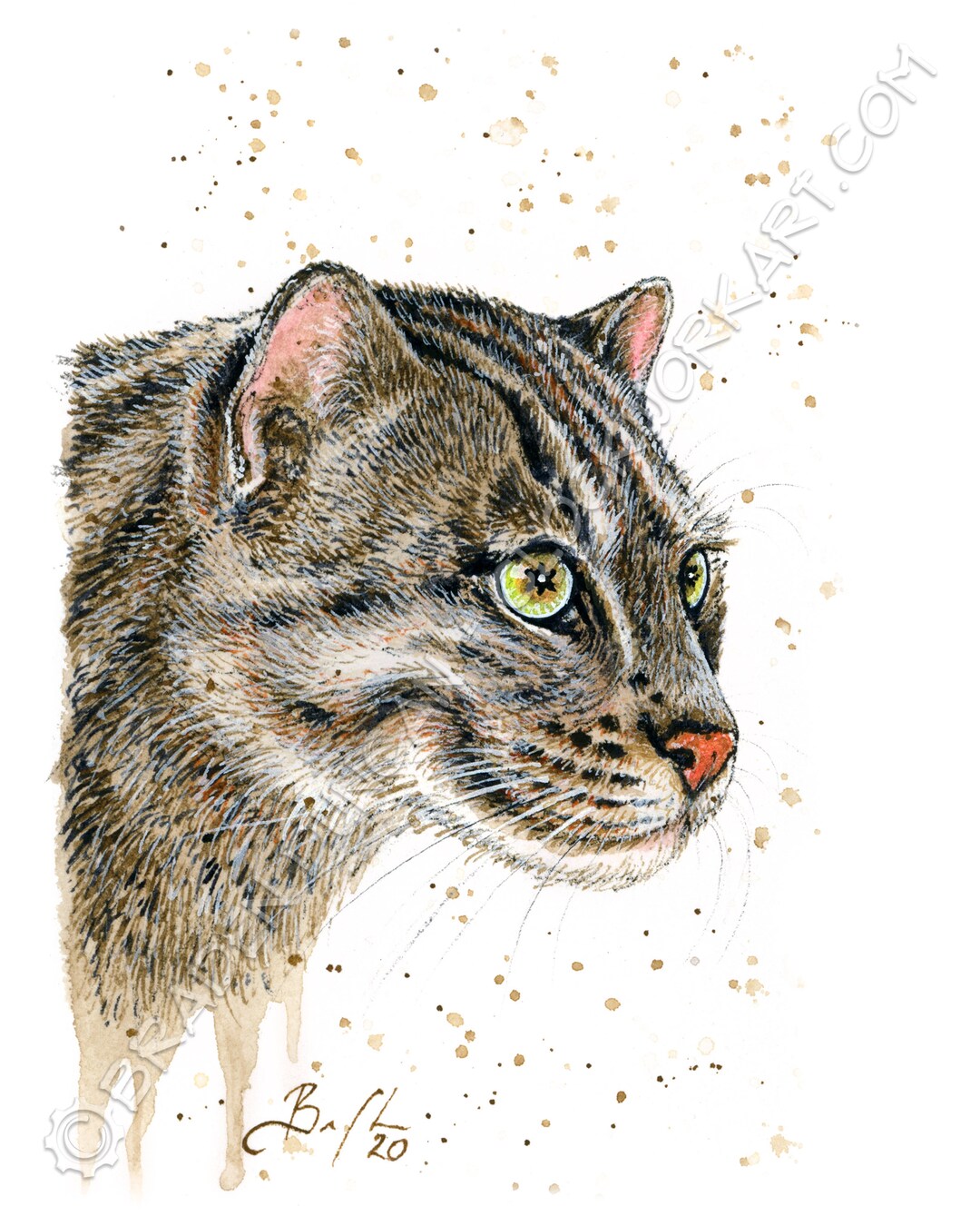 Fishing Cat Art for Charity Watercolour Wildcat Print - Etsy
