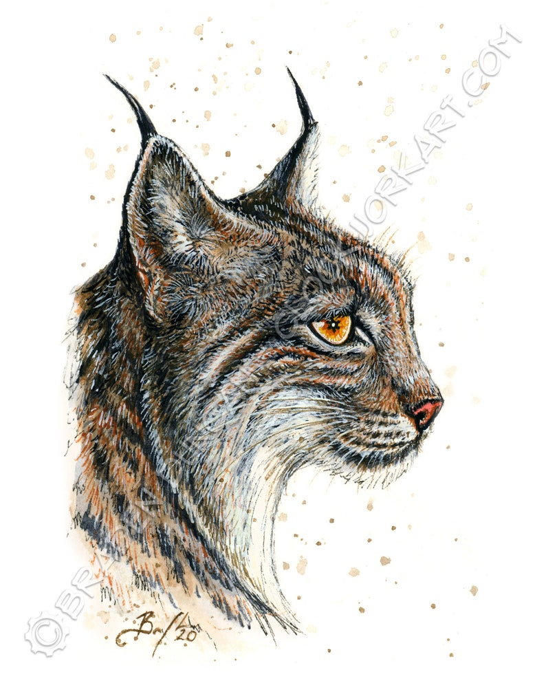 Iberian Lynx Art for Charity Watercolour Wildcat Print | Etsy