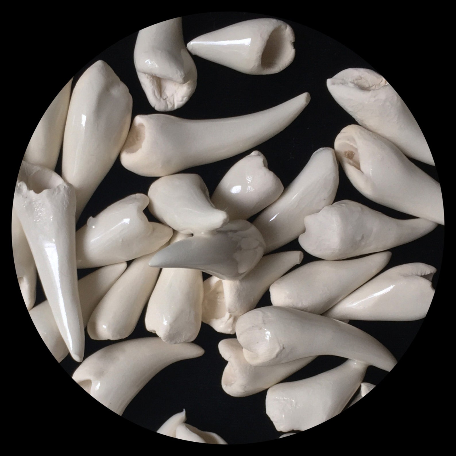 PORCELAIN MONSTER TEETH - Etsy