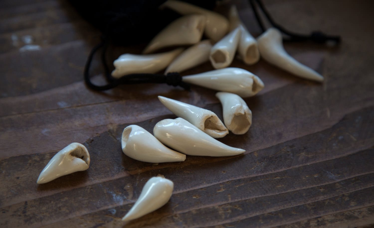 PORCELAIN MONSTER TEETH - Etsy