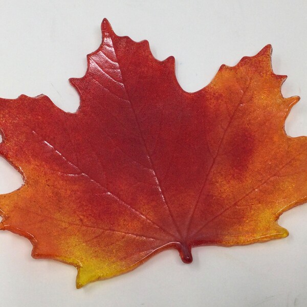 Fused Glass Leaf Etsy