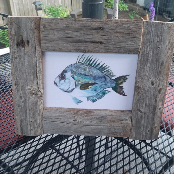 Fence Fish - Etsy