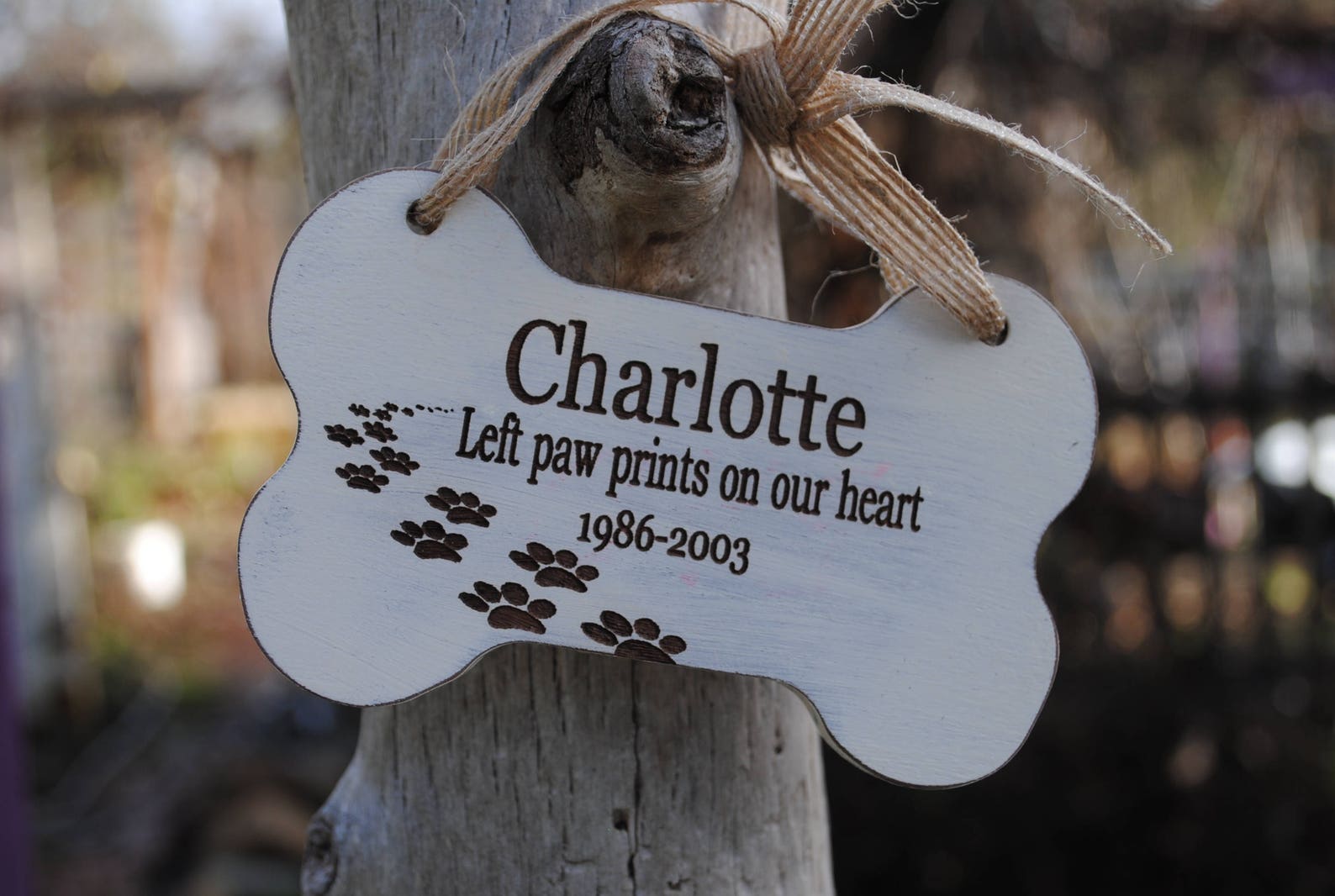 Pet Sympathy Gift Pet Memorial Gift Pet Remembrance Gift - Etsy