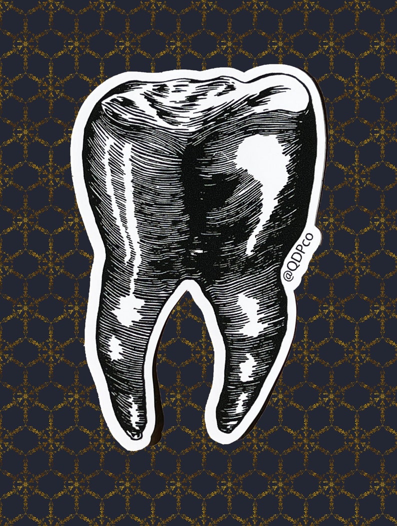 Molar Tooth - Vinyl Sticker - Dentist Inspired - Etsy