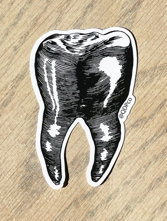 Molar Tooth Vinyl Sticker Dentist Inspired - Etsy