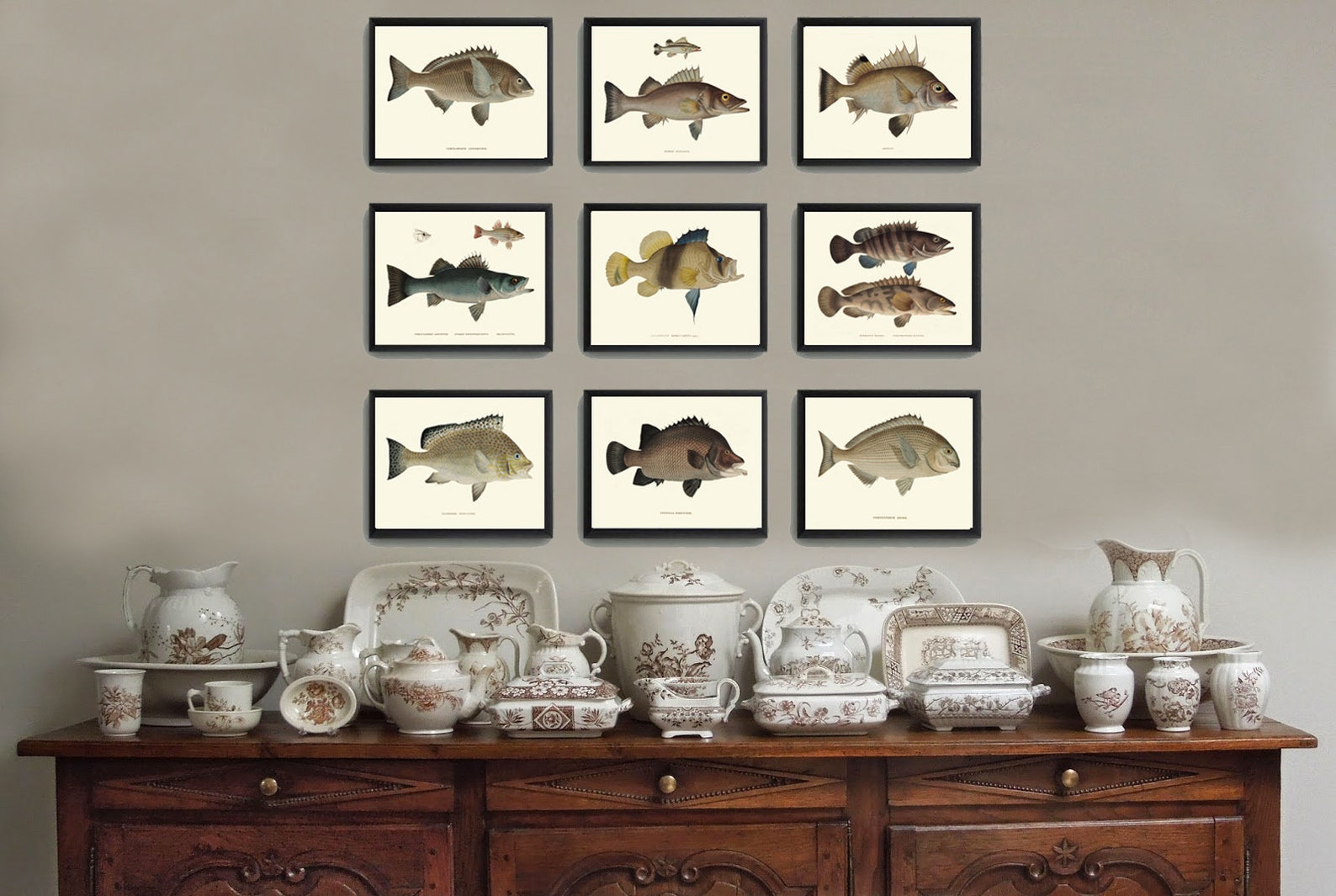 Fish Print Set of 9 Wall Art Prints Beautiful Antique Vintage Lake ...