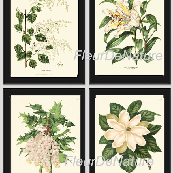 Botanical Print Set - Etsy