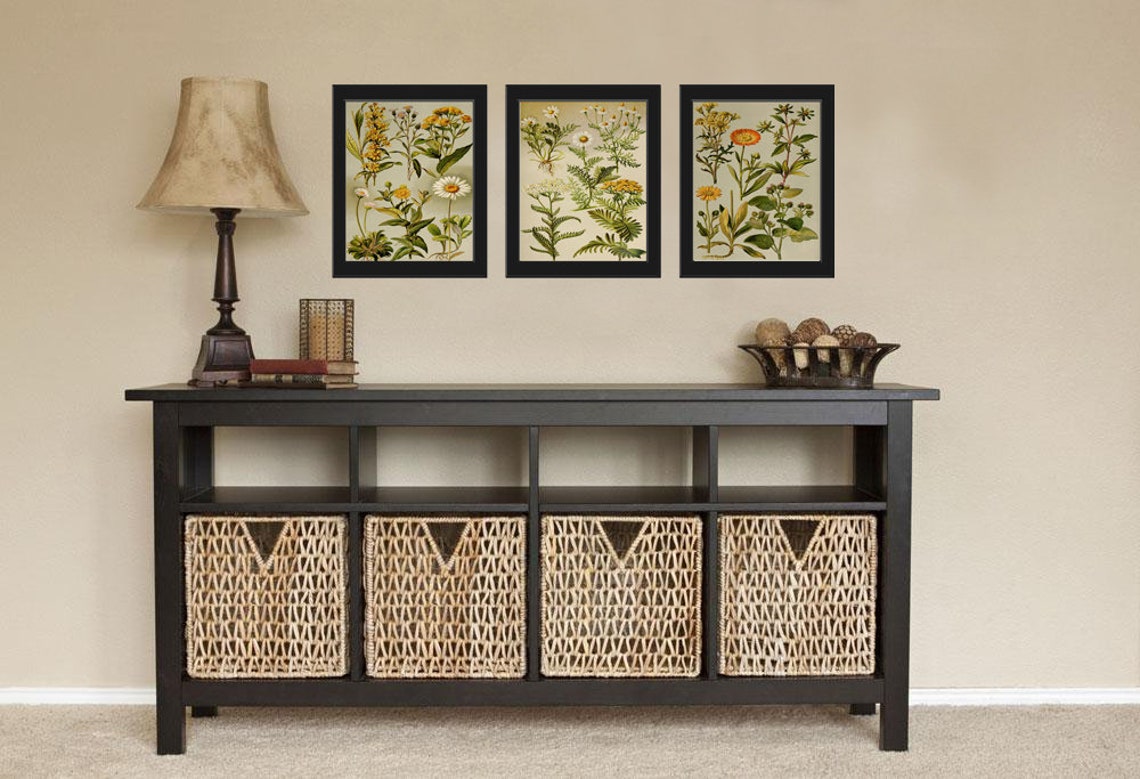 Daisy Daisies Botanical Print Set of 3 Wall Art Antique Beautiful White ...