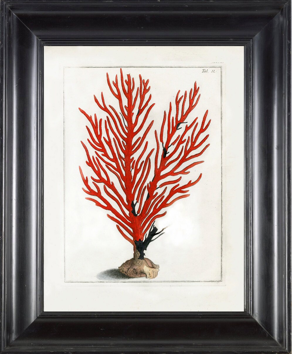 Red Coral Painting