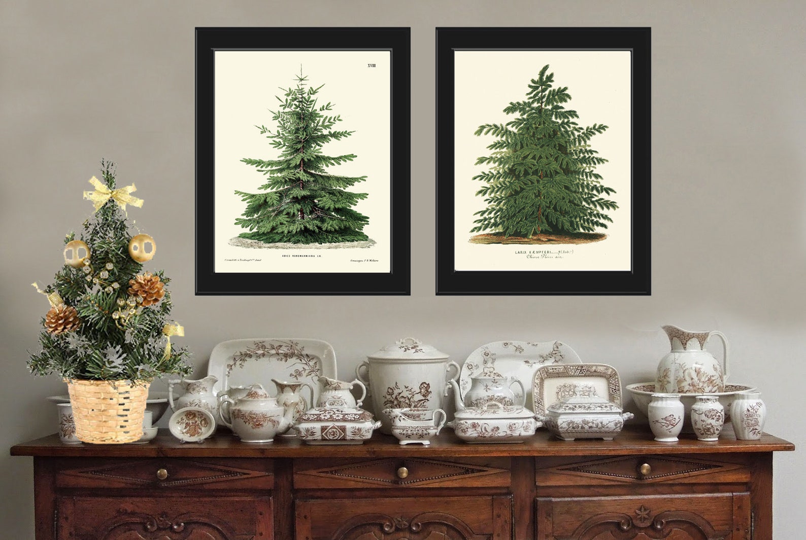 Christmas Tree Pine Fir Print SET of 2 Botanical Beautiful - Etsy