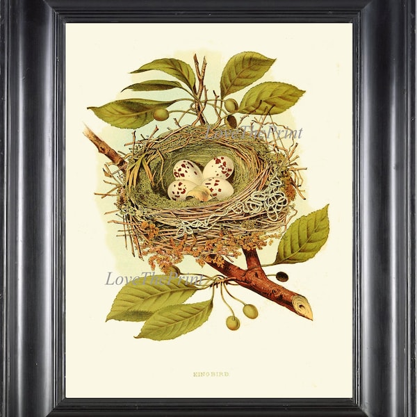 Bird Nest Art - Etsy