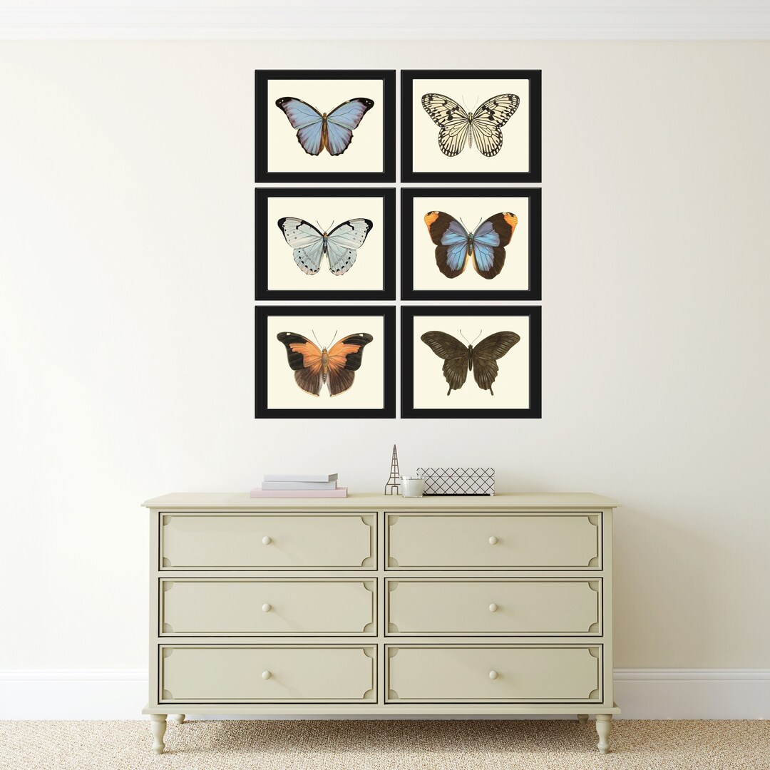 Papillon Mur Art Print ENSEMBLE de 6 Beaux anciens vintage Papillons ...