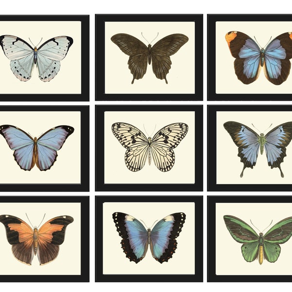 Home Interior Butterflies - Etsy