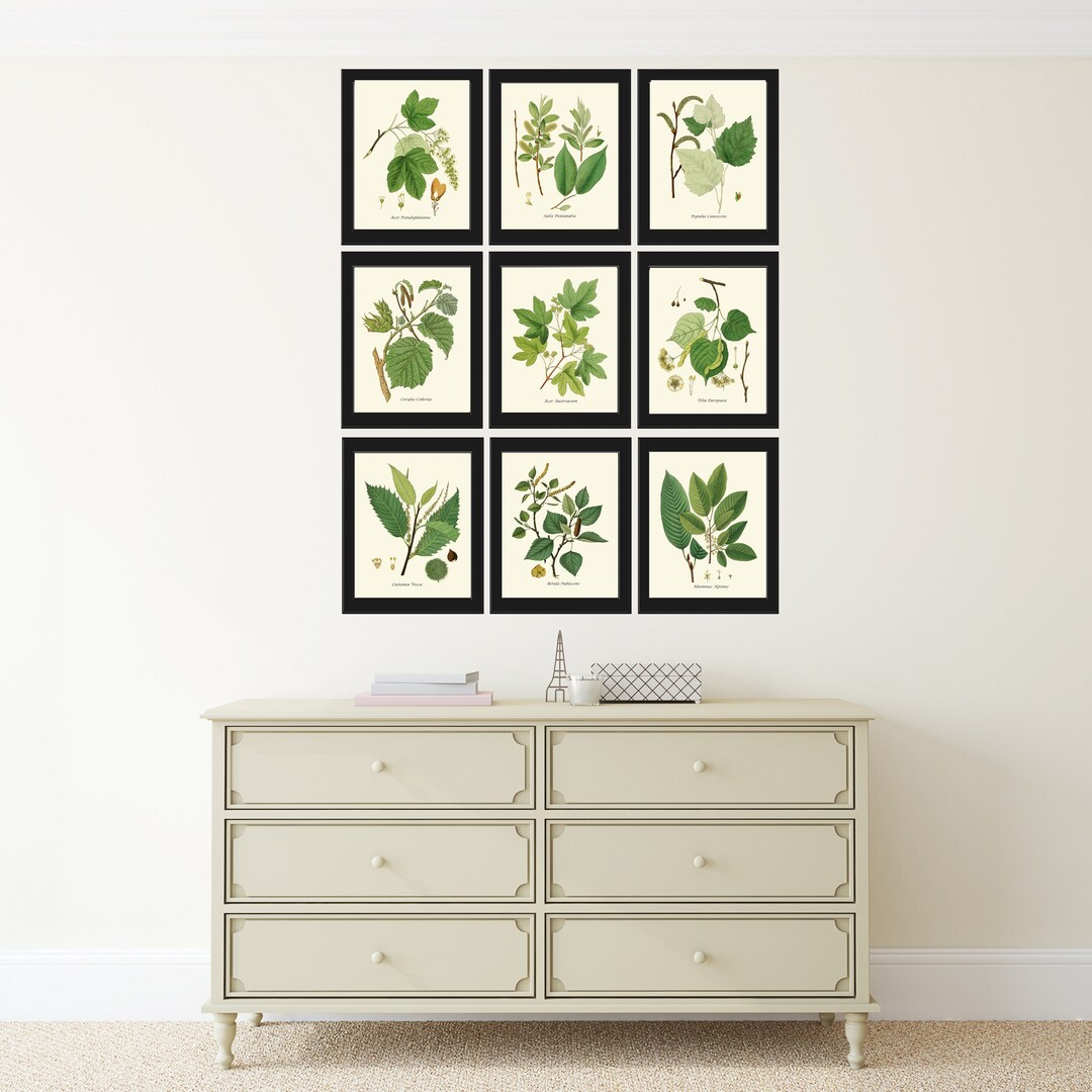 Green Tree Leaves Print Set of 9 Wall Art Prints Beautiful Antique ...