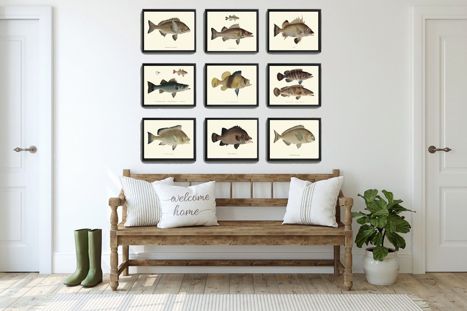 Fish Print Set of 9 Wall Art Prints Beautiful Antique Vintage Lake ...