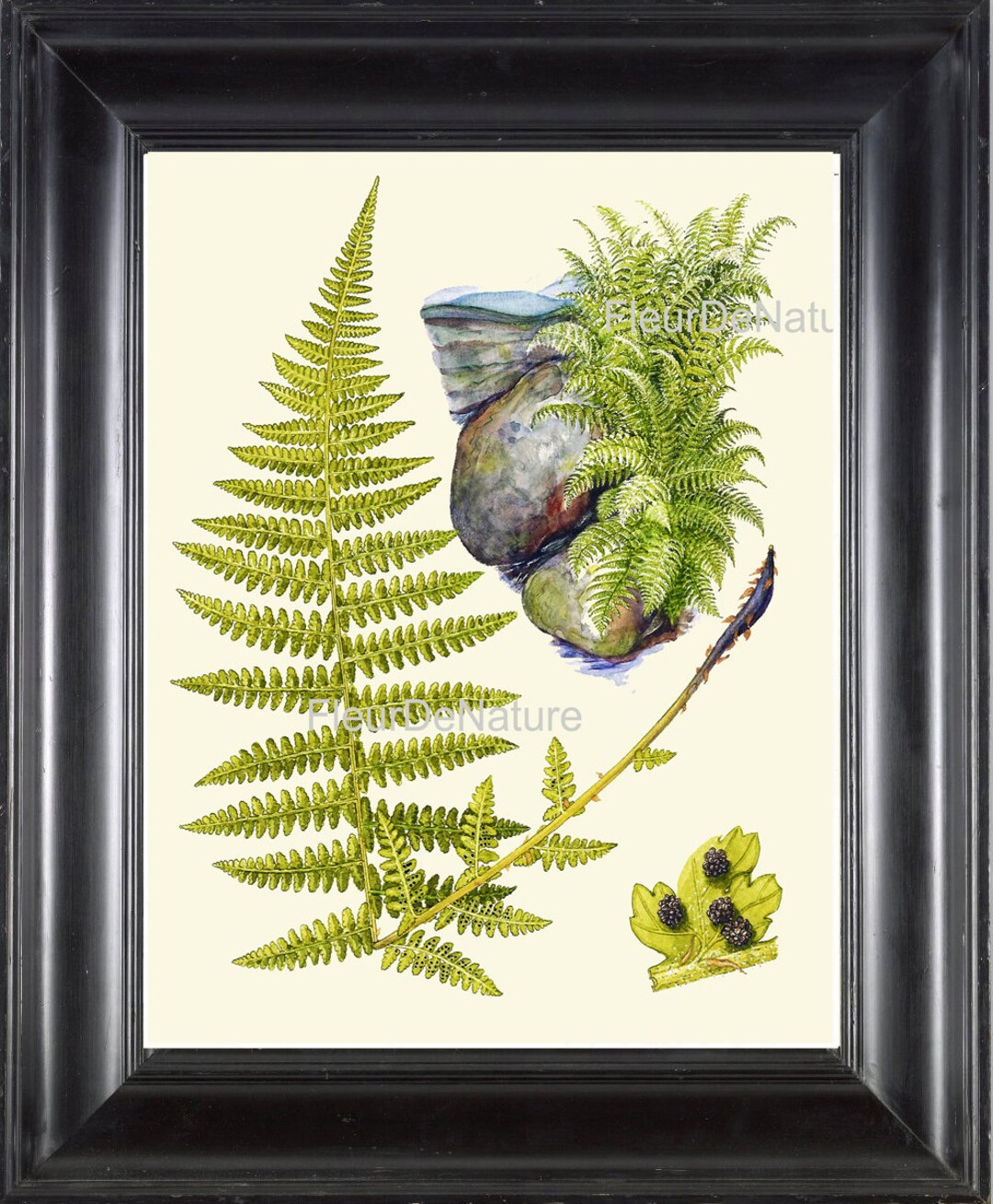 Green Fern Print Botanical Art Beautiful Fern Forest Country Summer ...