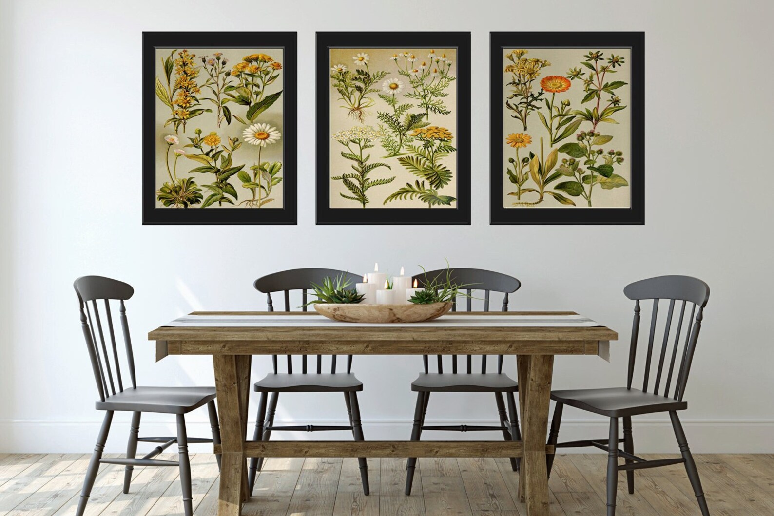 Daisy Daisies Botanical Print Set of 3 Wall Art Antique Beautiful White ...
