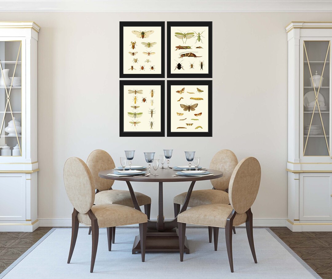 Insect Chart Dragonfly Butterfly Beetles Wall Art Print Set of 4 ...