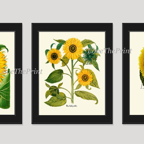 Sunflower Print - Etsy
