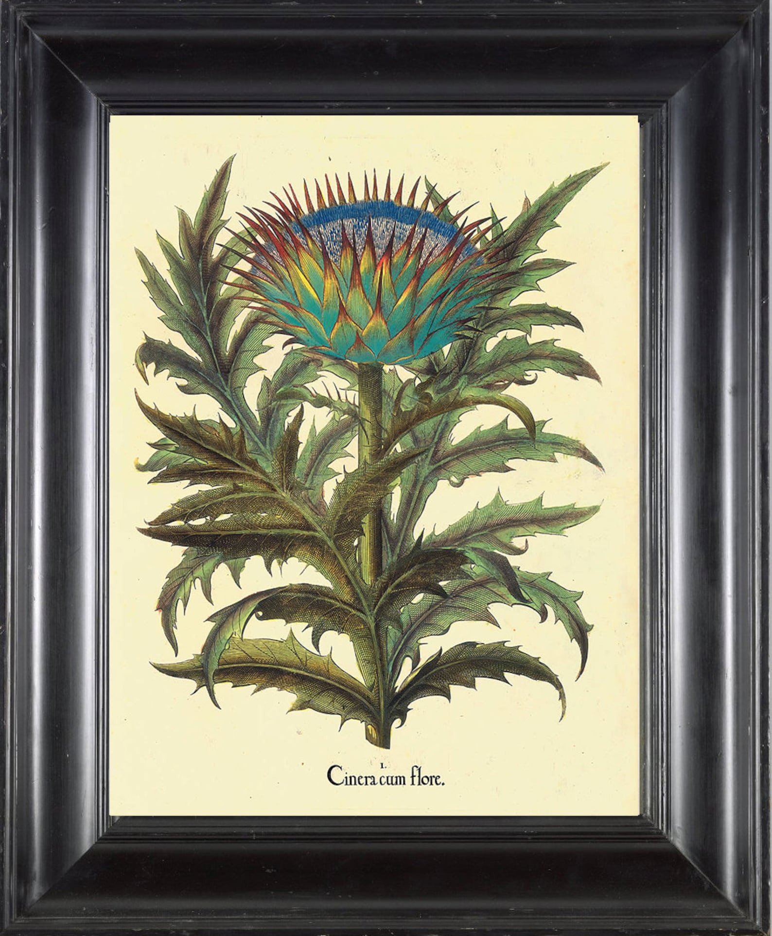 BOTANICAL PRINT Besler 8x10 Botanical Art Print 16 Beautiful Large ...