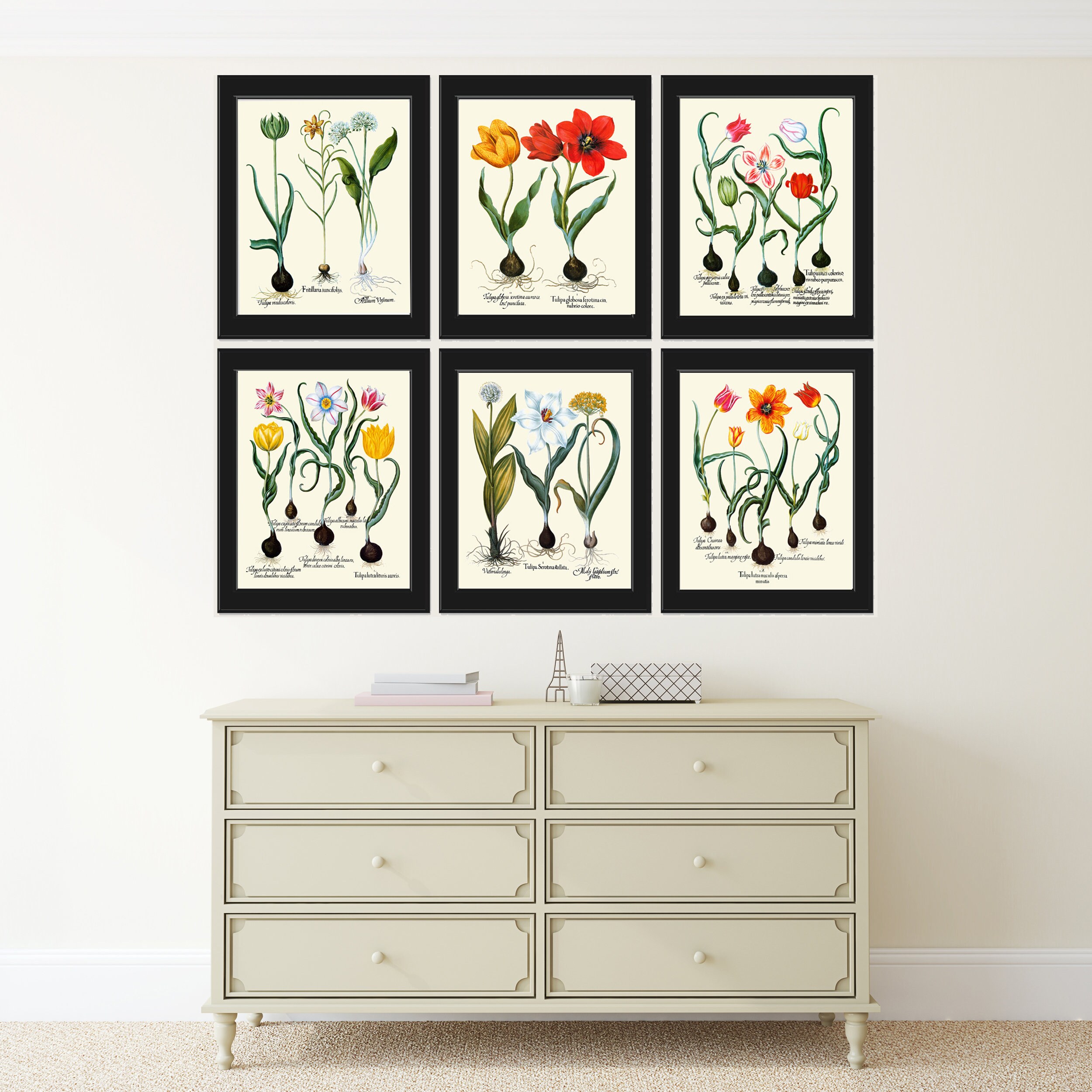 Flower Print Set of 6 Art Prints Antique Botanical Beautiful - Etsy Canada