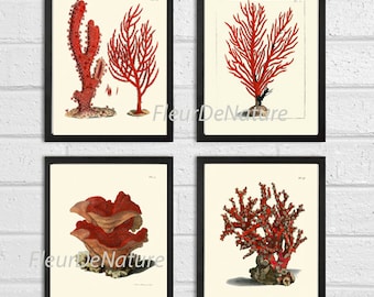 Red Coral Print SET of 6 Art Prints 8X10 Ellis Sea Ocean | Etsy