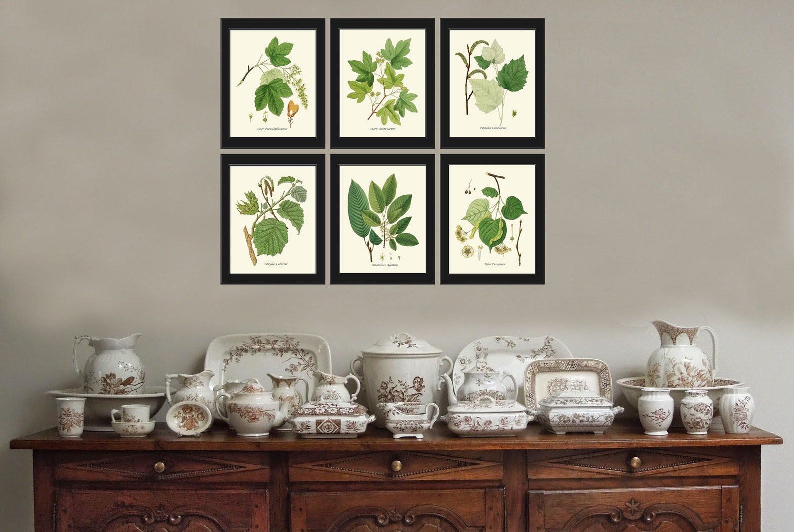 Green Trees Botanical Print SET of 6 Tree Prints Wall Art Beautiful ...