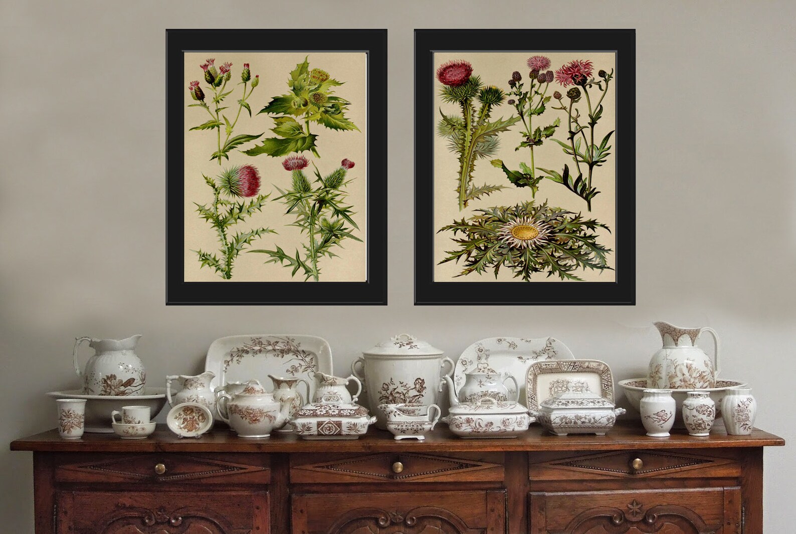 Thistle Flower Plant Vintage Botanical Print Set of 2 Wall Art Antique ...